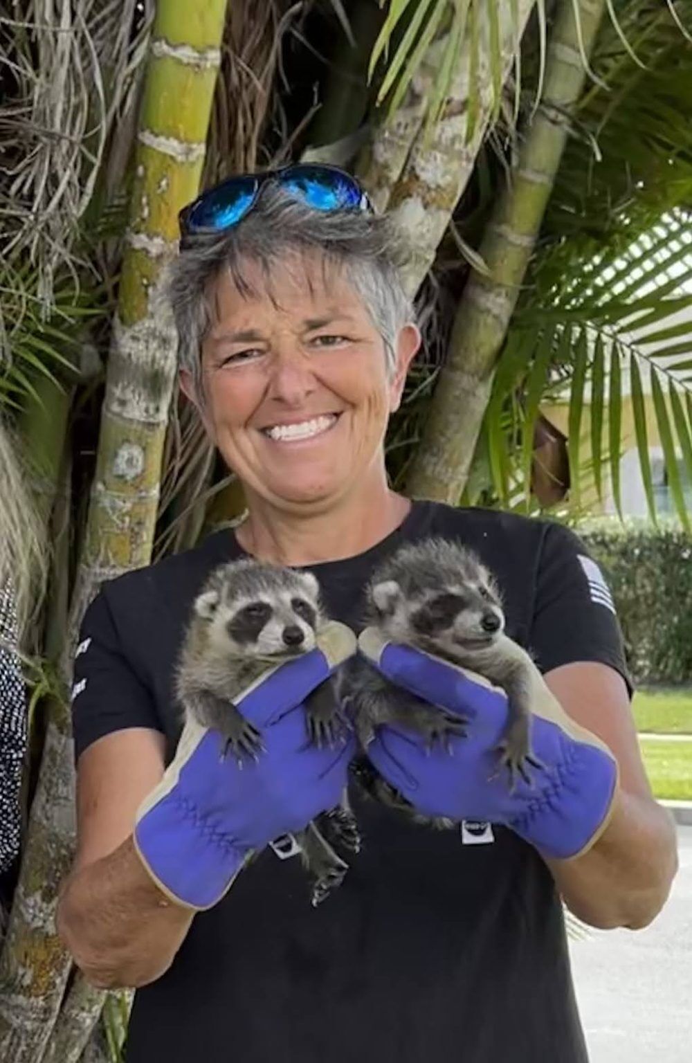 Volunteer - Wild Florida Rescue – Wildlife Emergency Services of Brevard